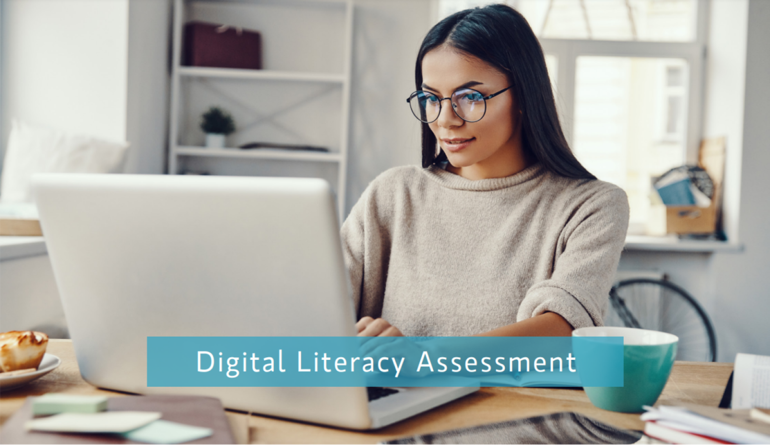 New Digital Literacy Assessment